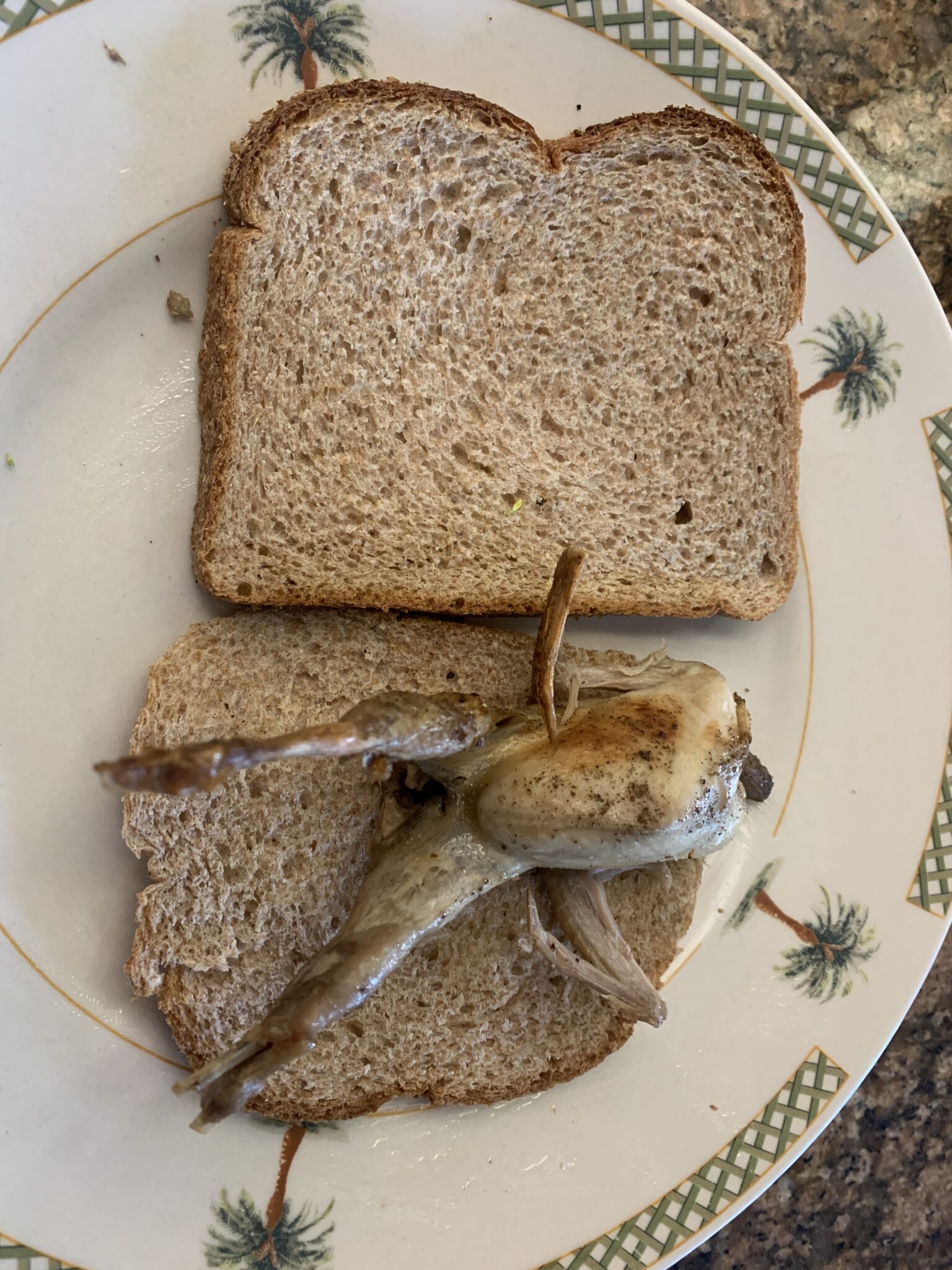 Buddy's Blog | Ernie and the Piranha Club by Bud Grace