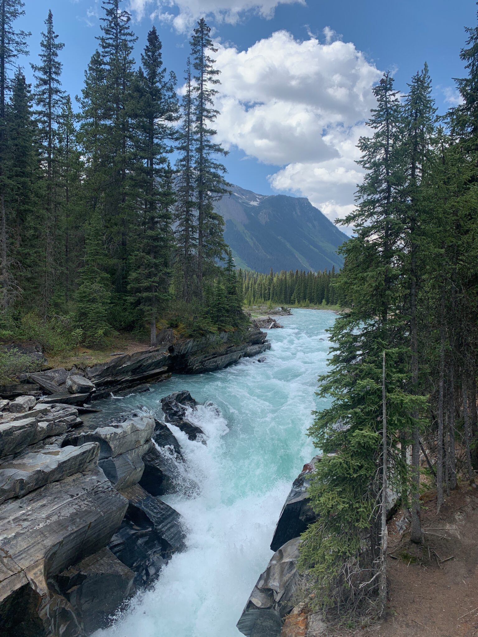 Buddy's Blog | Ernie and the Piranha Club by Bud Grace